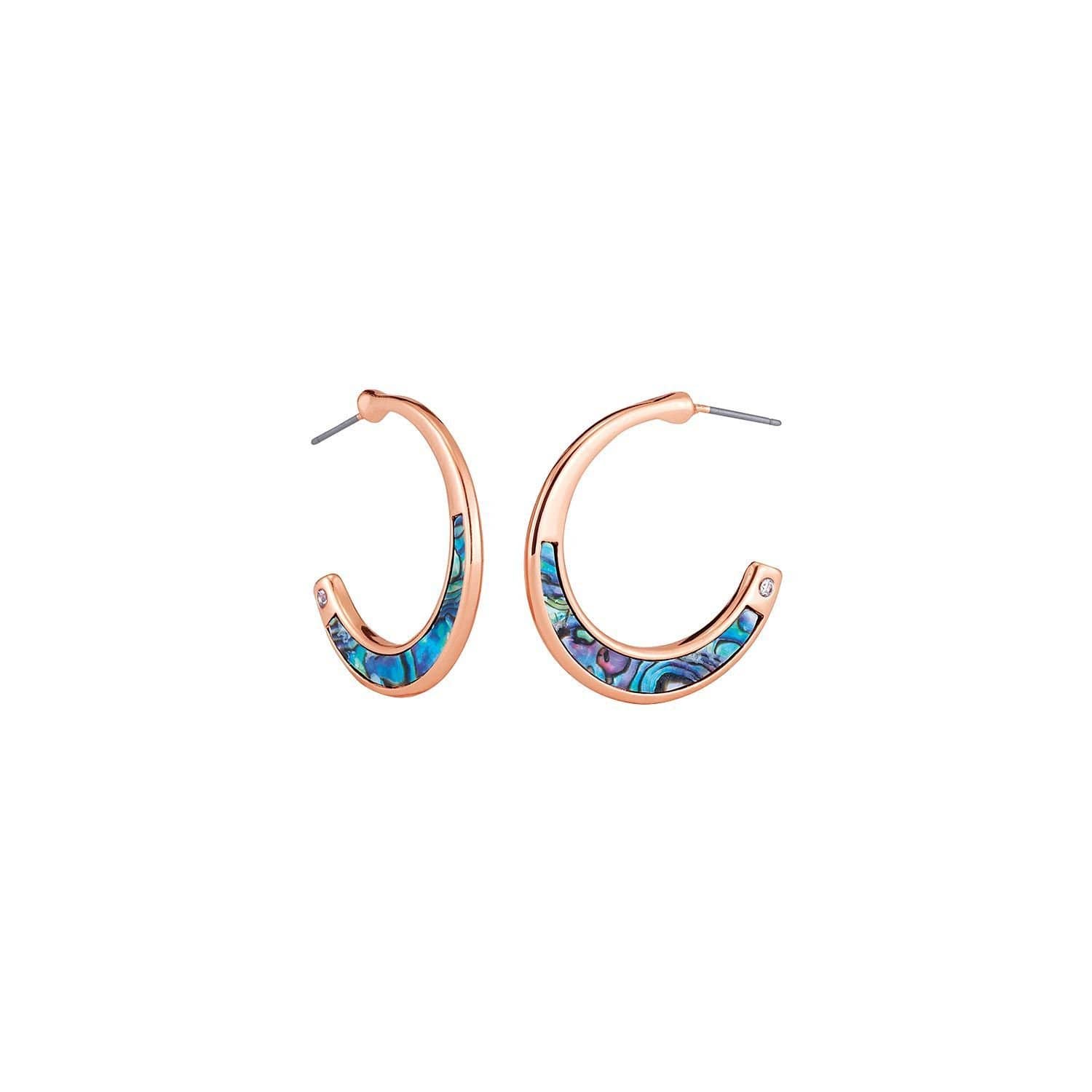 Absolutely Abalone Earrings Avon Specialist Shop Cosmetics Beauty Fashion And
